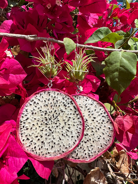 Earrings – Tagged "spo-notify-me-disabled"– Slices Of Citrus LLC