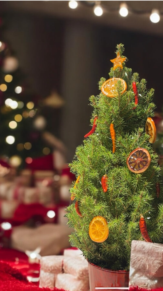 Ornaments – Slices Of Citrus LLC